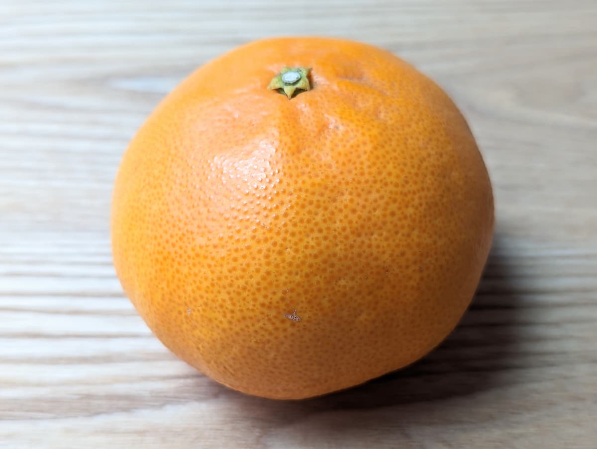 【せとか】特徴・取り寄せ方法・選び方・保存方法を八百屋が紹介 | やさいのトリセツ