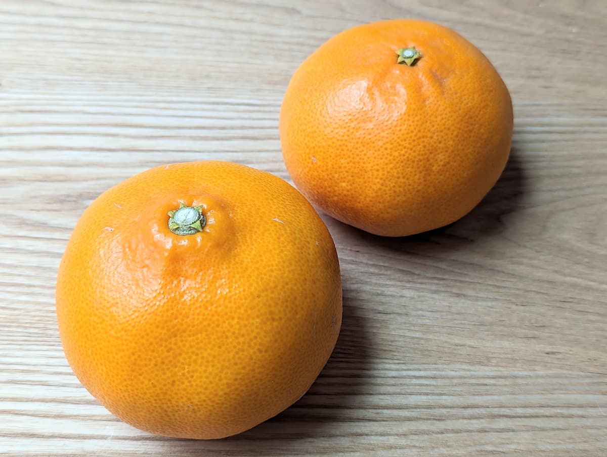 【せとか】特徴・取り寄せ方法・選び方・保存方法を八百屋が紹介 | やさいのトリセツ